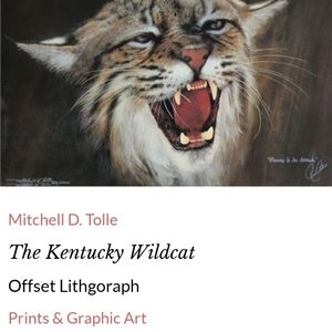 THE KENTUCKY WILDCAT | Art | The Kentucky Wildcat Limited Edition ...